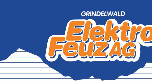Elektro Feuz AG - BKW